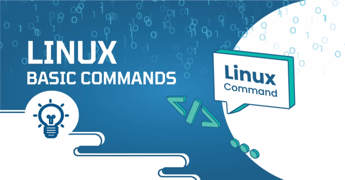Beginner's Guide to Linux Commands for Hosting Laravel Project on AWS || TechsofTechs